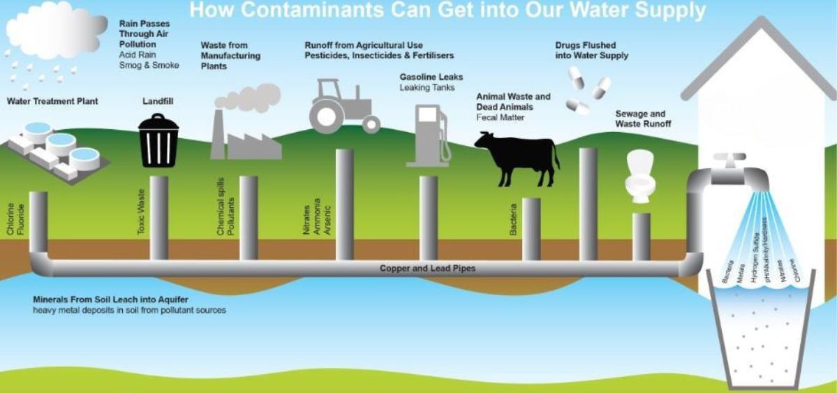 The Hidden Dangers of Tap Water | Living Whole