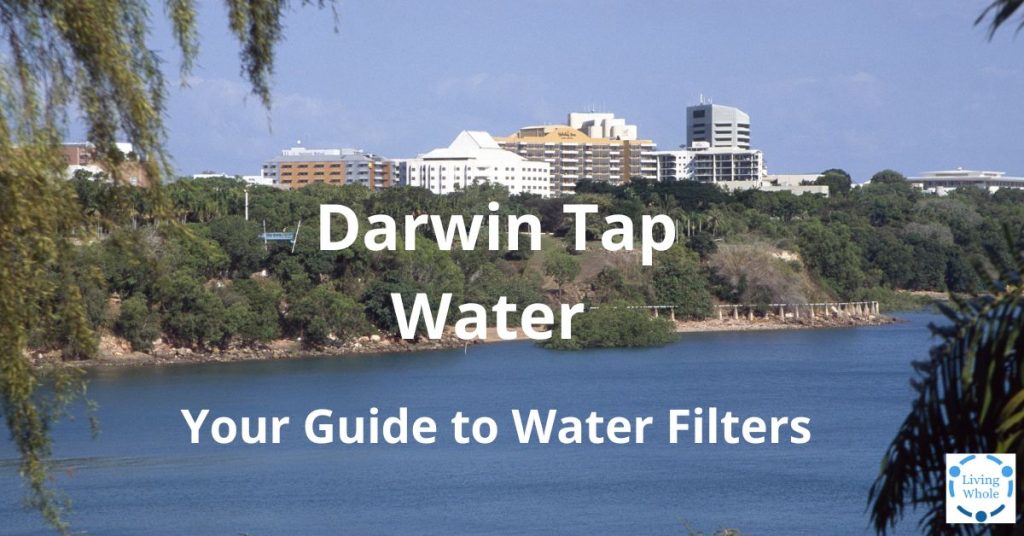 Darwin Tap Water—Your Guide to Water Filters | Living Whole
