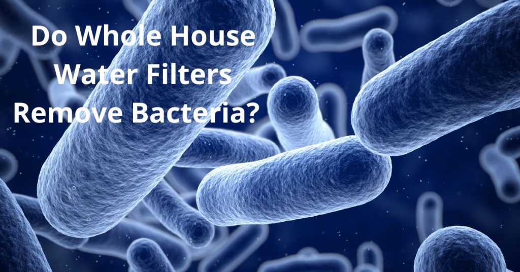 Do Whole House Water Filters Remove Bacteria? | Living Whole