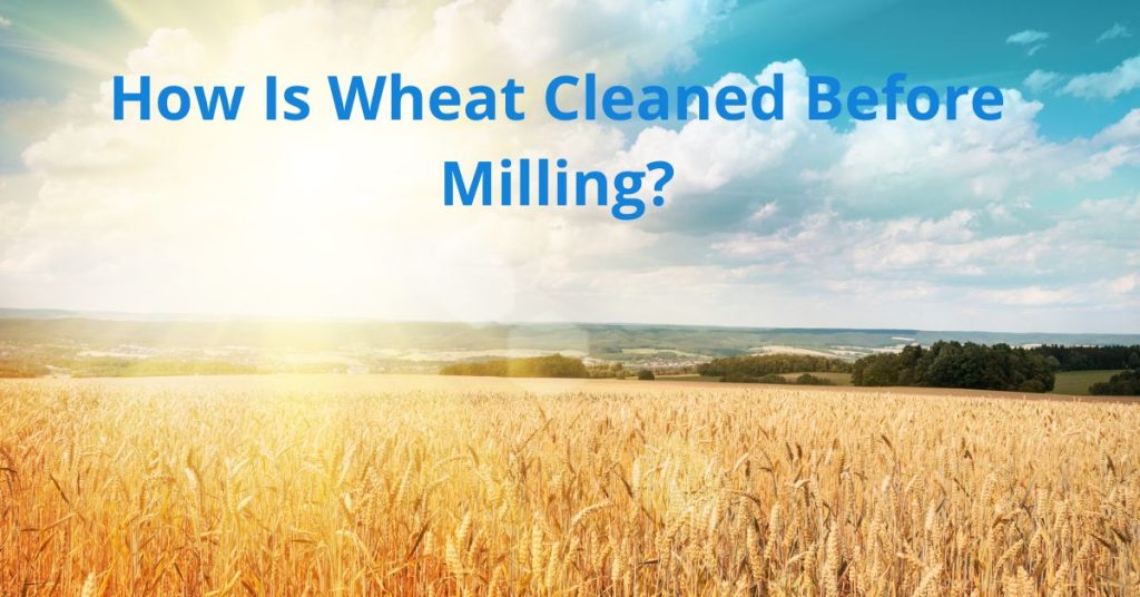 How Is Wheat Cleaned Before Milling? | Living Whole