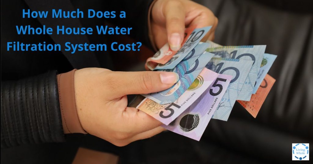 How Much Does a Whole House Water Filtration System Cost? | Living Whole
