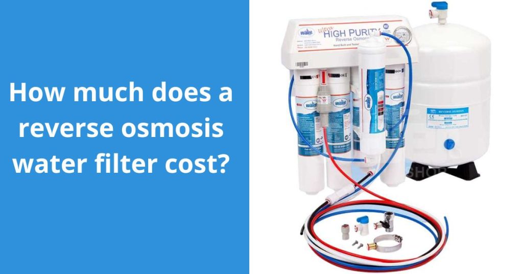 How much does a Reverse Osmosis Water Filter Cost? | Living Whole