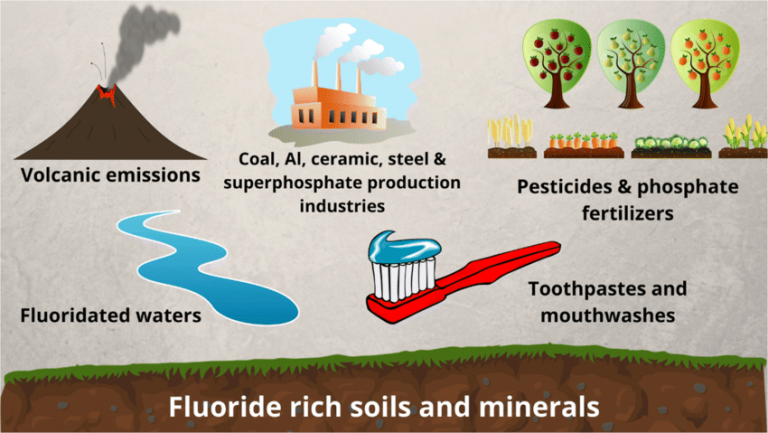 Is Fluoride a Heavy Metal? | Living Whole