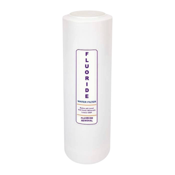 CTO Max Twin Countertop Water Filter - Maximum Fluoride Shield | Living ...