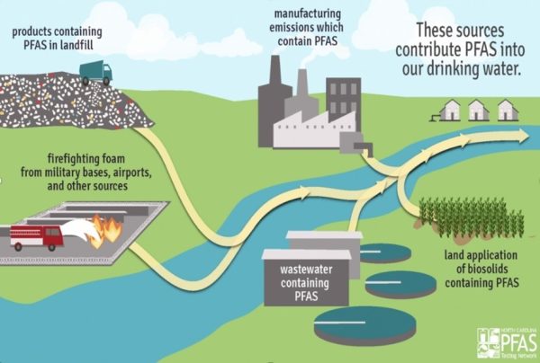 How to Remove PFAS from Your Drinking Water | Living Whole