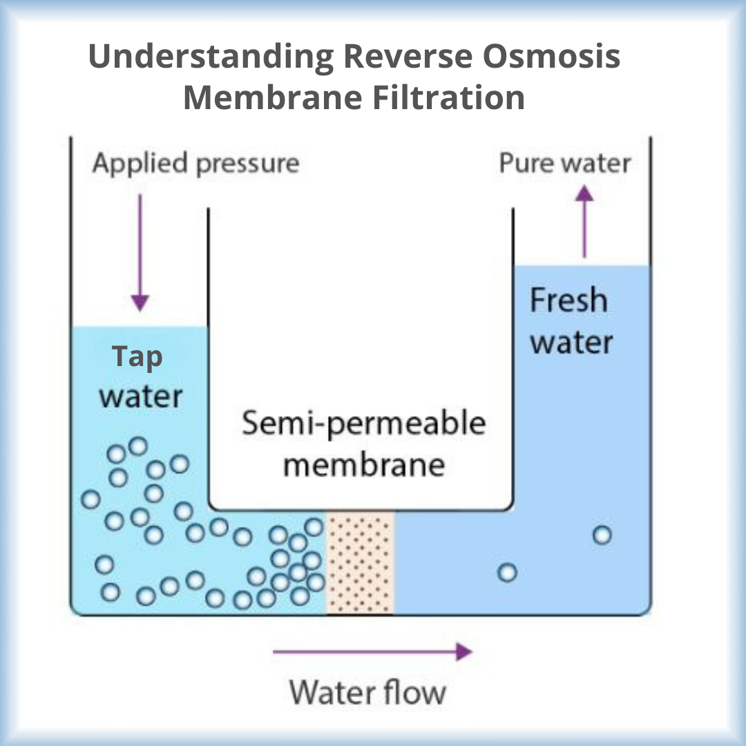 Is reverse osmosis the best water filter? | Living Whole