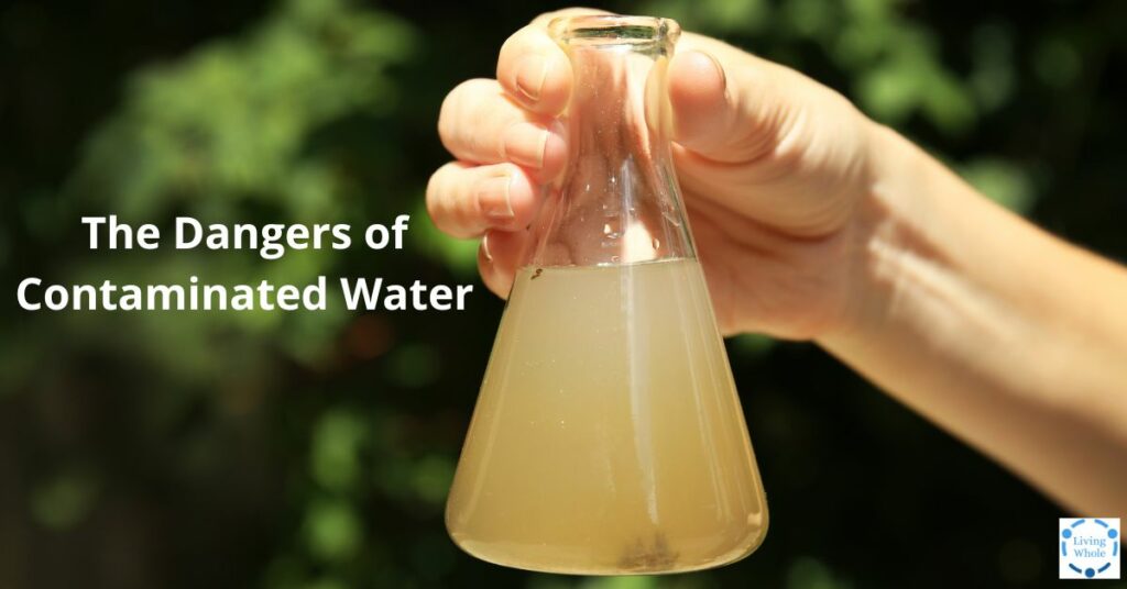 The Dangers of Contaminated Water: What Every Parent Should Know ...
