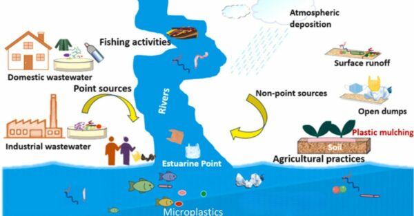 What is Microplastics in Water? | Living Whole